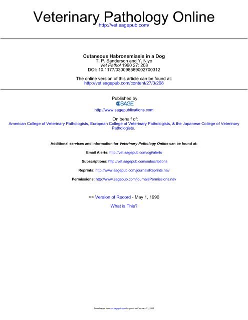 Cutaneous Habronemiasis in a Dog - Veterinary Pathology