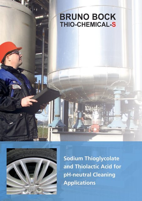 Rim Cleaner Brochure - Bruno Bock