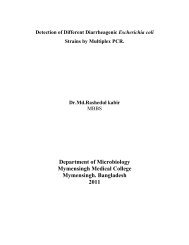 Fanny Hesse and the discovery of Agar in Microbiology - Koch's ...
