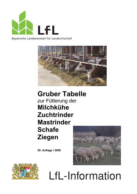 Steckbriefe Zur Tierhaltung In Deutschland : Mastrinder – BBVN