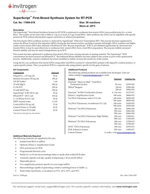 SuperScript™ First-Strand Synthesis System for RT-PCR - Invitrogen