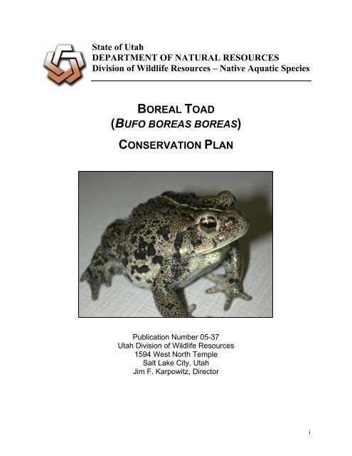 Sonoran Desert Toad 57 Pounds