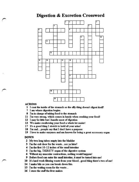Digestion & Excretion Crossword