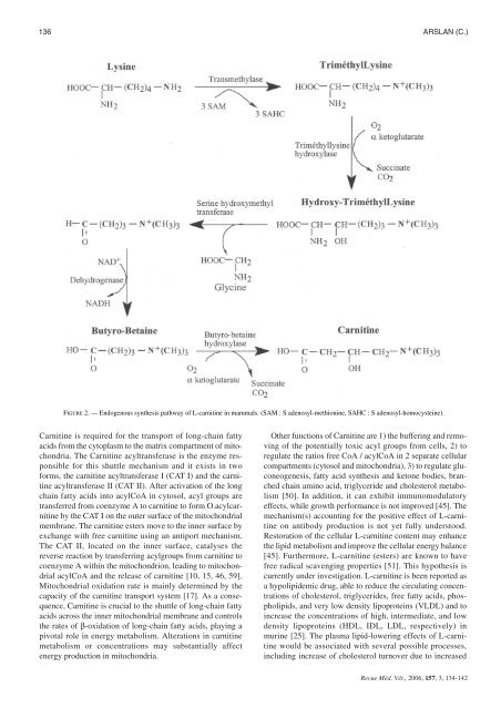 L-CARNITINE AND ITS USE I