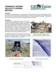 Borehole Televiewer - GEOVision